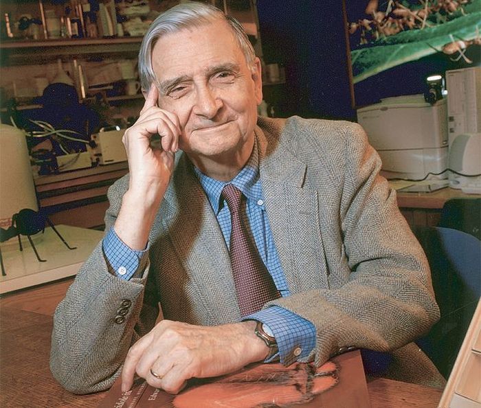 Quote by Edward O. Wilson: “The real problem of humanity is the ...
