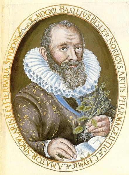 Basilius Besler (Author of Basilius Besler's Florilegium)