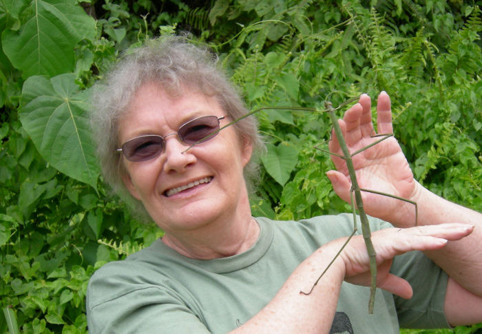 Glenda Larke (Author of The Last Stormlord)