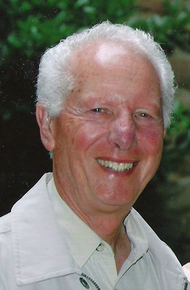 Jerold M. Lowenstein (Author of The Dark X)