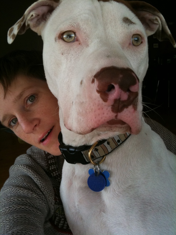 Brandi Dougherty (Author of Miss Fortune)