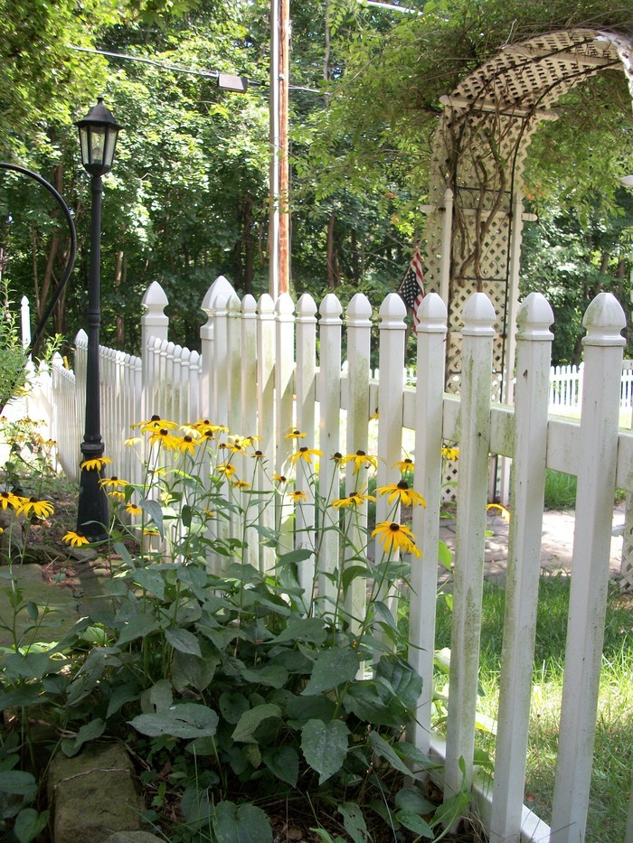 Nancy K. Wallace (Author of Among Wolves)