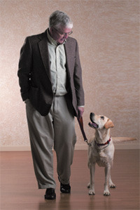 Tom Vint (Author of Walking with Dog)