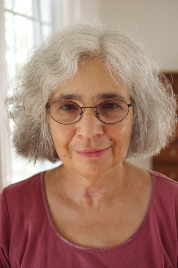 Alice Mattison (Author of The Book Borrower)