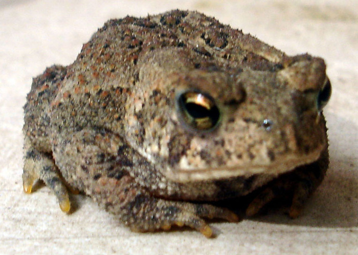 R.E. Washington (Author of Burnt Children)