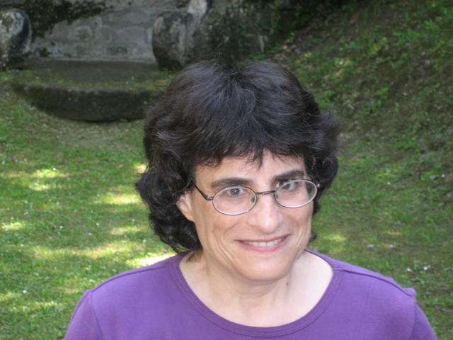 Lisa Goldstein (Author of The Red Magician)