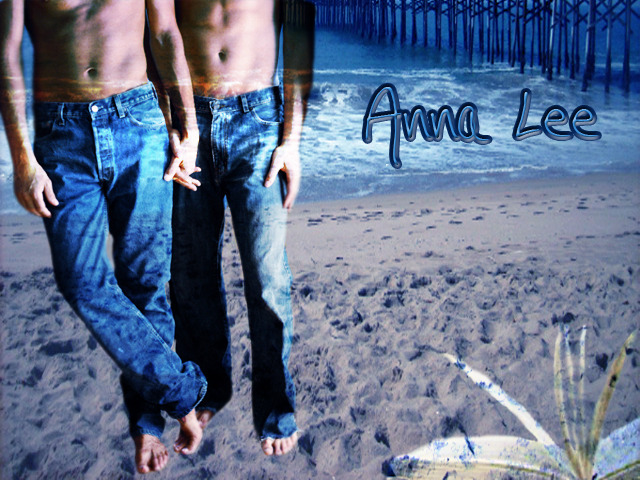 Anna Lee (Author of His Soldier)