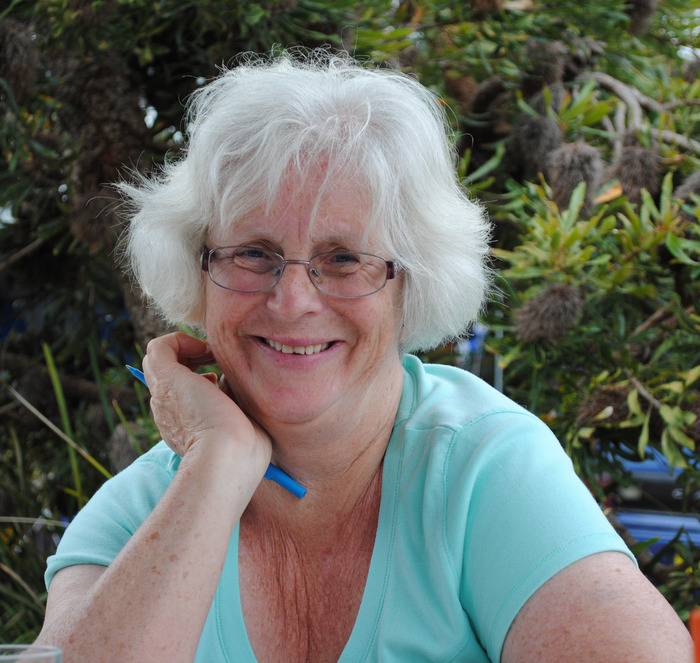 Pamela Lamb (Author of 5 Steps to a 5 AP US Government & Politics 2016)