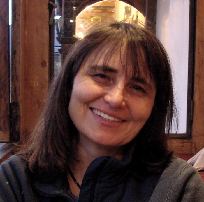 Bridget Pitt (Author of Notes from the Lost Property Department)