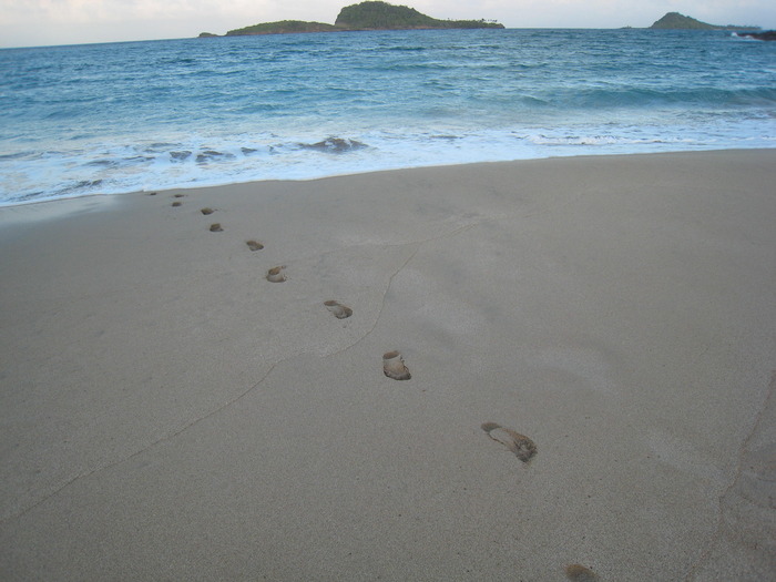 Brie Bennett (Author of Of Love, Actors, and Acrobats)