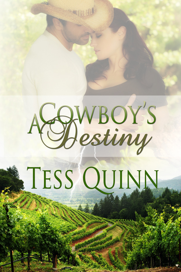 Tess Quinn (Author of The Bewitched Cowboy)