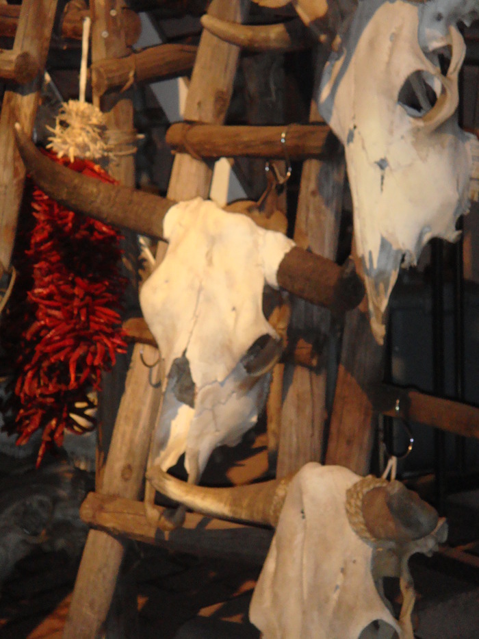 Kevin Singer (Author of The Last Conquistador)