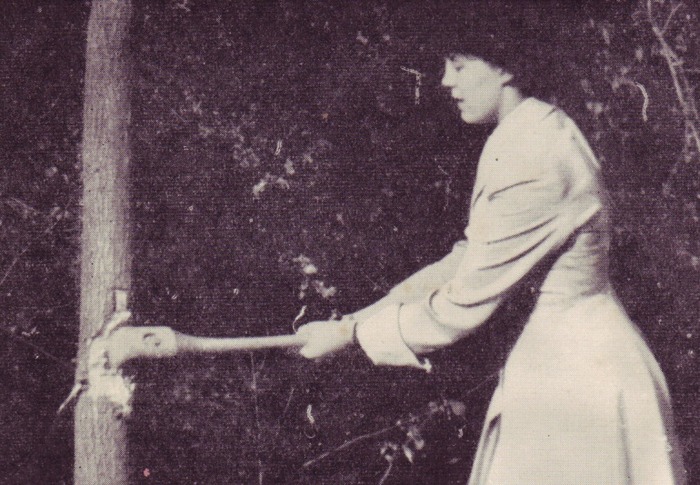 Robin Place (Author of The Celts)