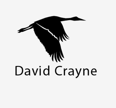 David Crayne (Author of The New World Chronicles)
