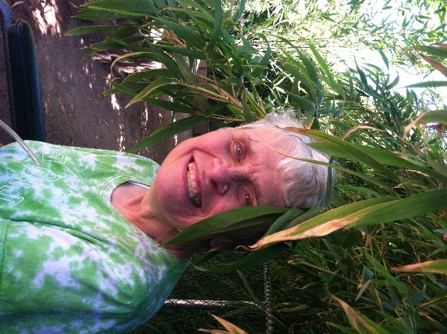 Sandy Morgan (Author of Dance of Victory)