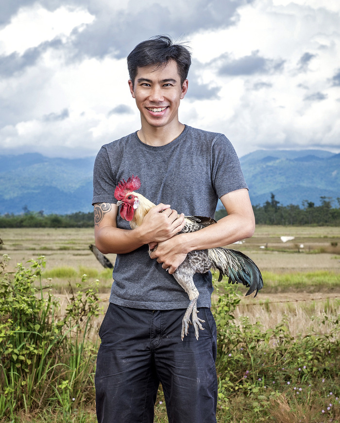 Ernest Goh (Author of Chickens)