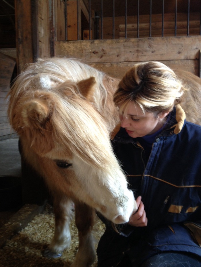 Michelle Draghetti (Author of Honey Pony Is Saved)