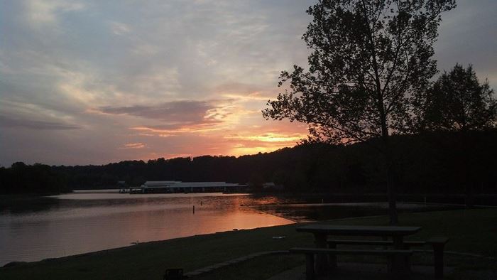 Sara Anderson (Author of Starlight)