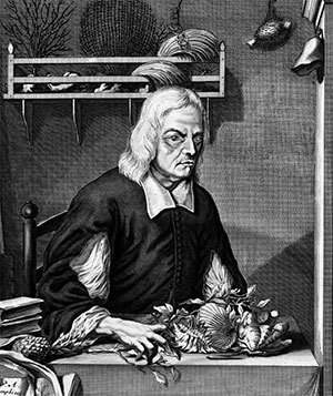 Georgius Everhardus Rumphius (Author of The Ambonese Curiosity Cabinet)