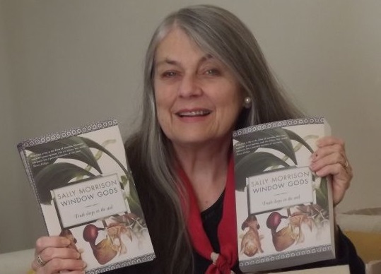 Sally Morrison (Author of Window Gods)