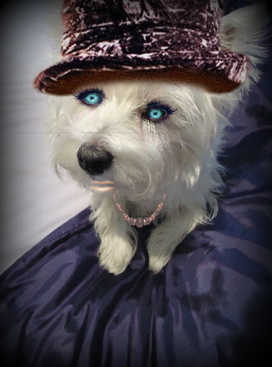 Angel Nash (With of Angelicious!)