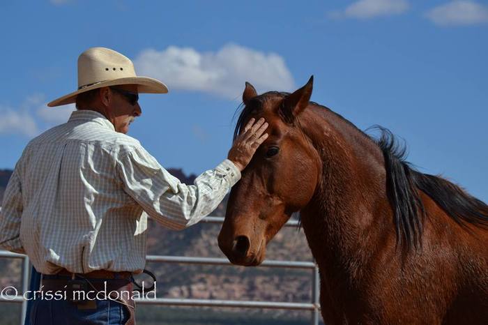 Mark Rashid (Author of Horses Never Lie)