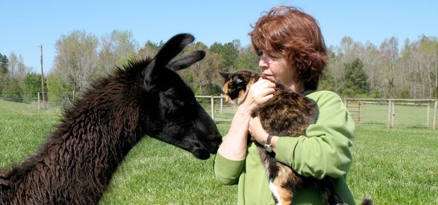 Tera Thomas (Editor of Bringers of the Dawn)