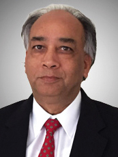 Bharat B. Aggarwal (Author of Healing Spices)