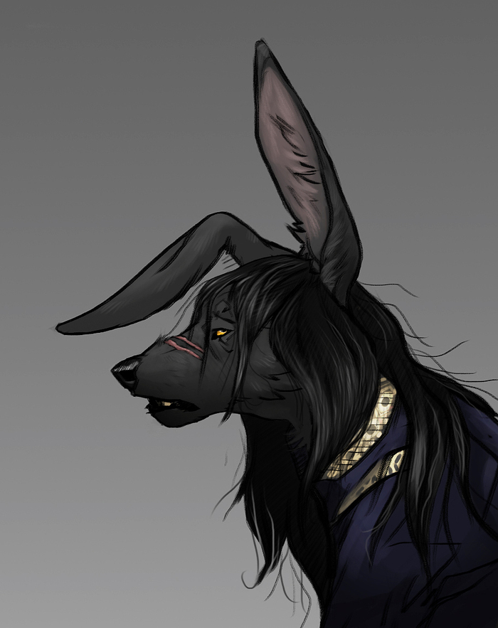 Dwale (Contributor of The Furry Future)