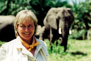 Cynthia Moss (Author of Elephant Memories)