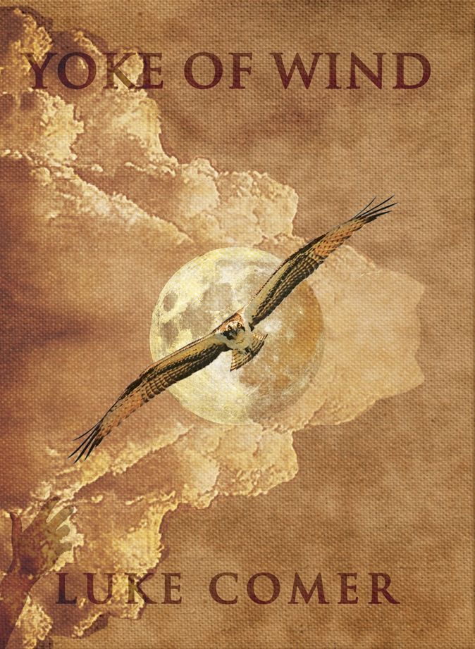 Luke Comer (Author of On the Origin of Being)