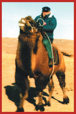 Hugh Dyson Walker (Author of East Asia )