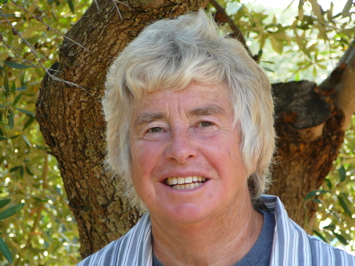 Amanda Taylor (Author of The Falcon with a Virgin's Face)