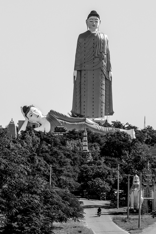 Matthew Sims (Author of Nike and Phil Knight)