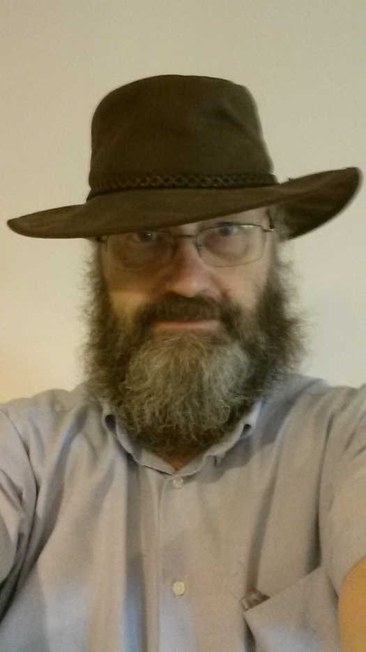 R. Harrison (Author of The Curious Profession of Dr. Craven)