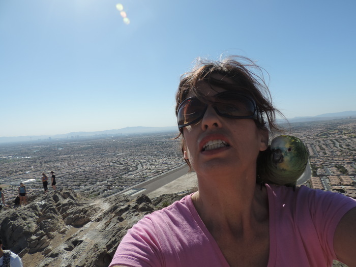 Debbie Prince (Author of Writer's Bloc III)