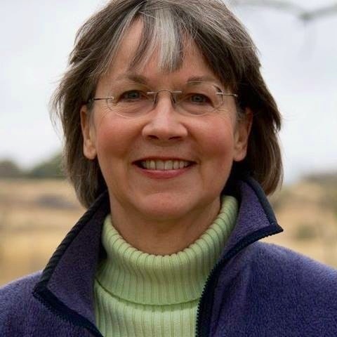 Lee Robinson (Author of Lawyer for the Dog)