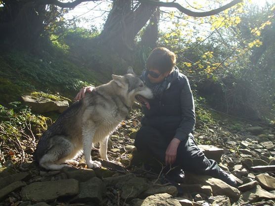 Quote by Karen Davison: “Saving one dog will not change the world, but ...