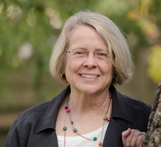 Susan Wolfe (Author of The Last Billable Hour)