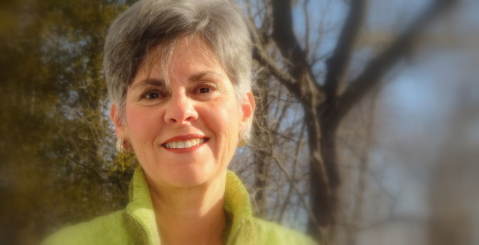 Christine Negroni (Author of The Crash Detectives)