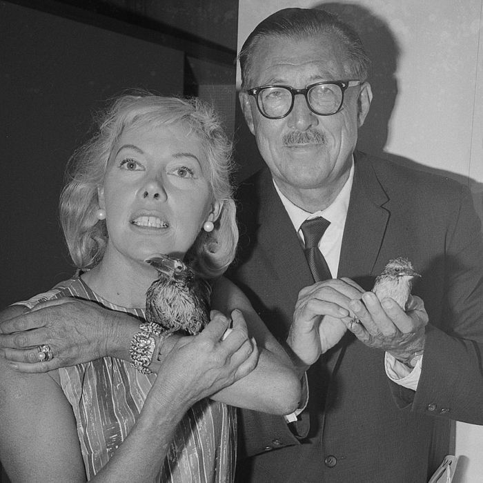 Michaela Denis (Author of Leopard In My Lap)