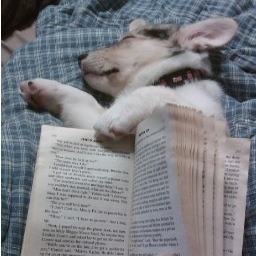 Janet Vorwald Dohner (Author of Farm Dogs)