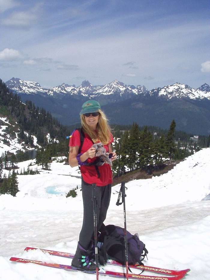 Sally Hewitt (Author of Confetti Wind)