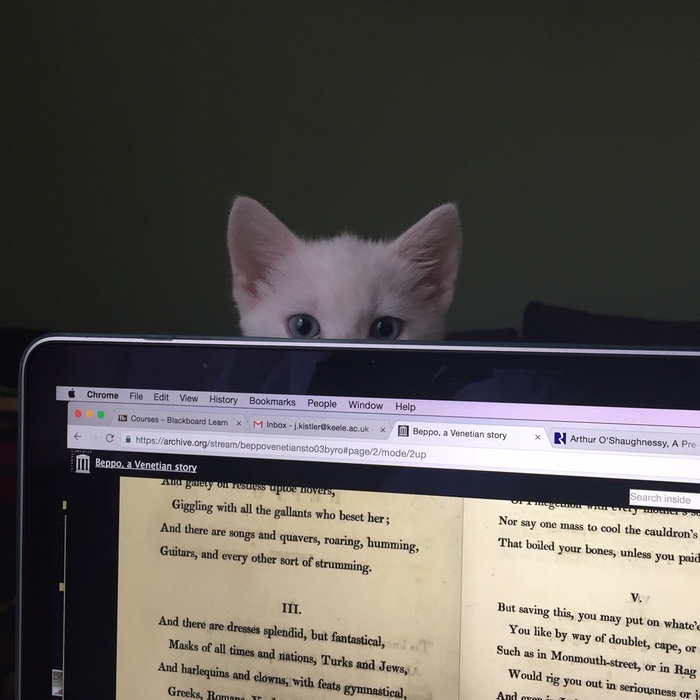 Jamie Sullivan (Author of Heart of the Dragon)