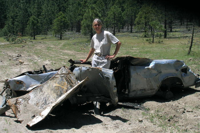 Virginia Arthur (Author of Birdbrain)