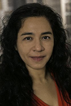 Lisa Huang Fleischman (Author of Dream of the Walled City)