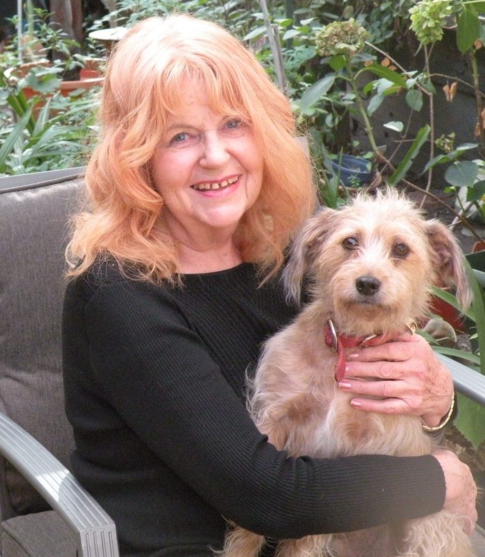 Sally Van Gent (Author of Clay Gully, Stories from an Apple Orchard)