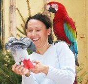 Ann Castro (Author of The Bird School. Clicker Training for Parrots and ...
