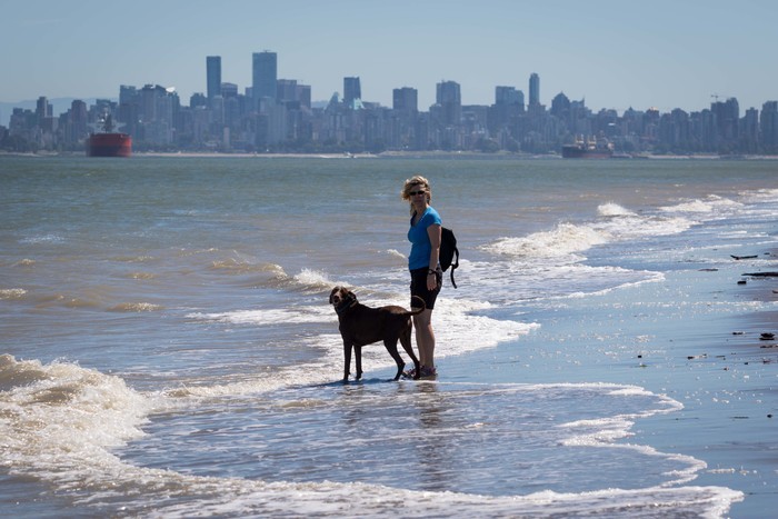 Colleen Cross (Author of Exit Strategy)