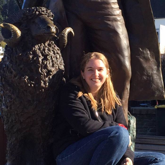 Amanda Geisler (Author of The Stray)